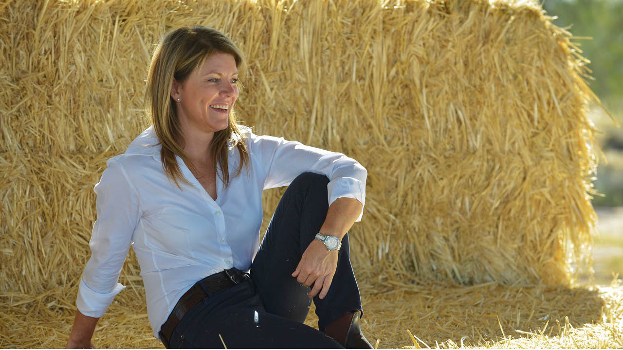 TRACEY HAYES » Territory Q