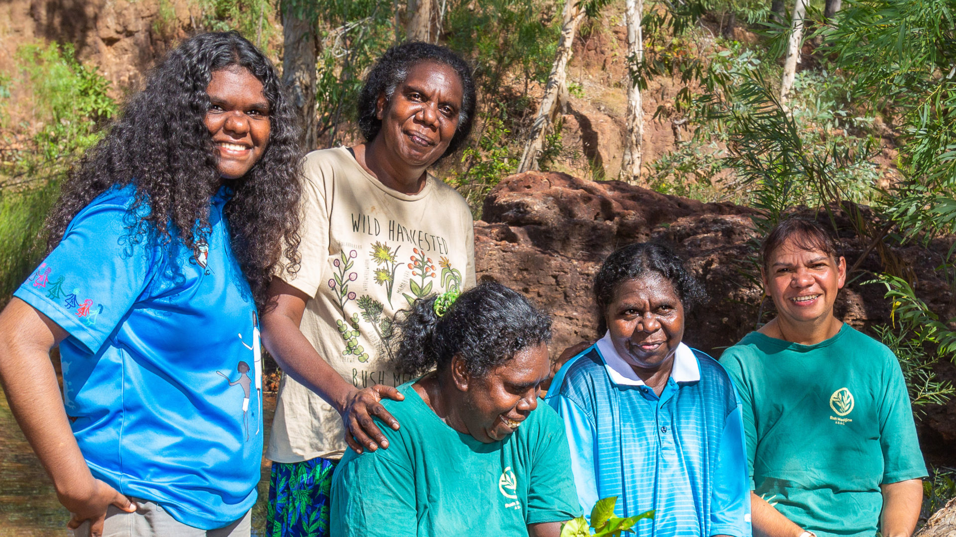 Bush Medicine » Territory Q