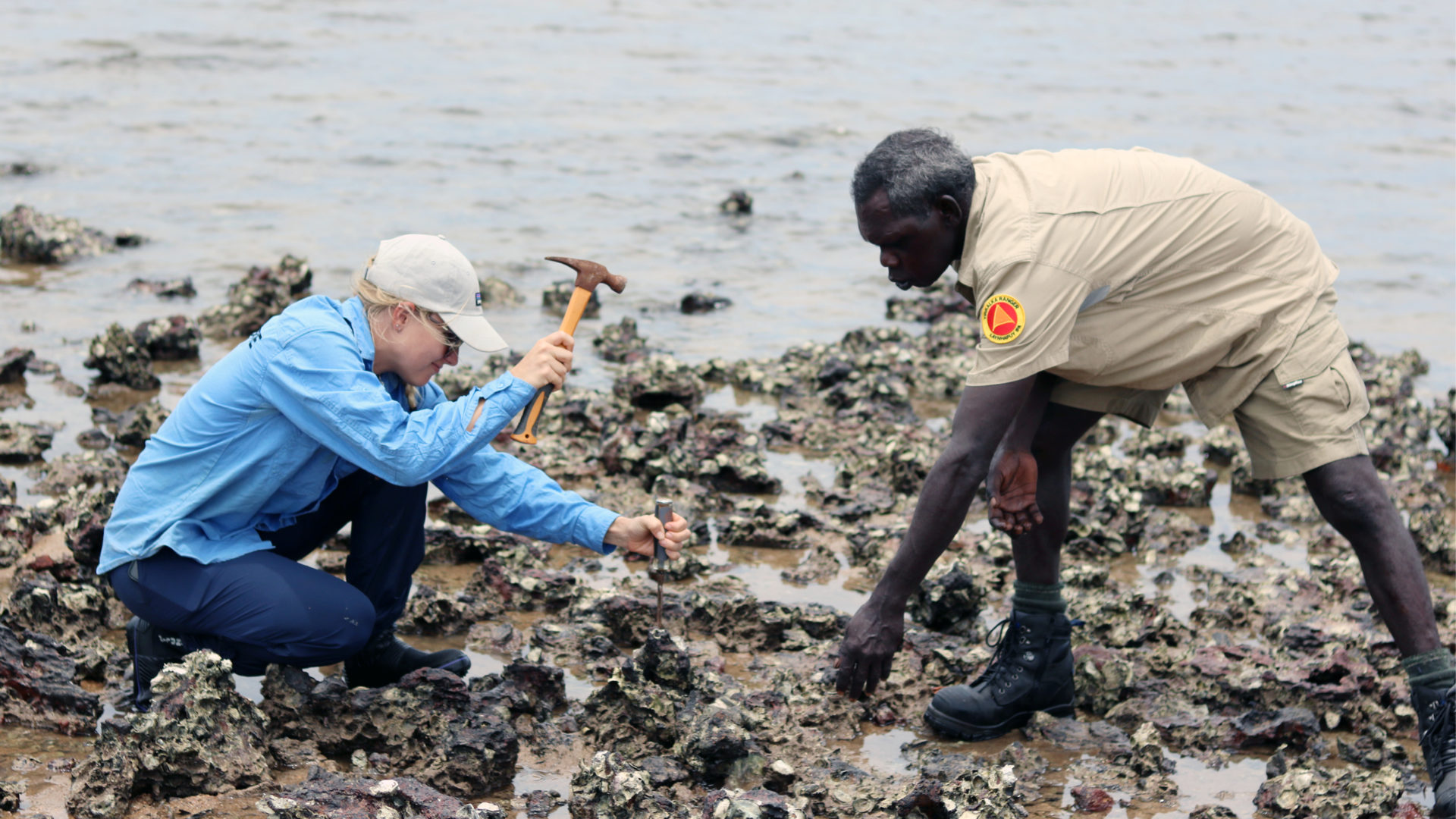 FINDING GOLD IN THE OCEAN » Territory Q