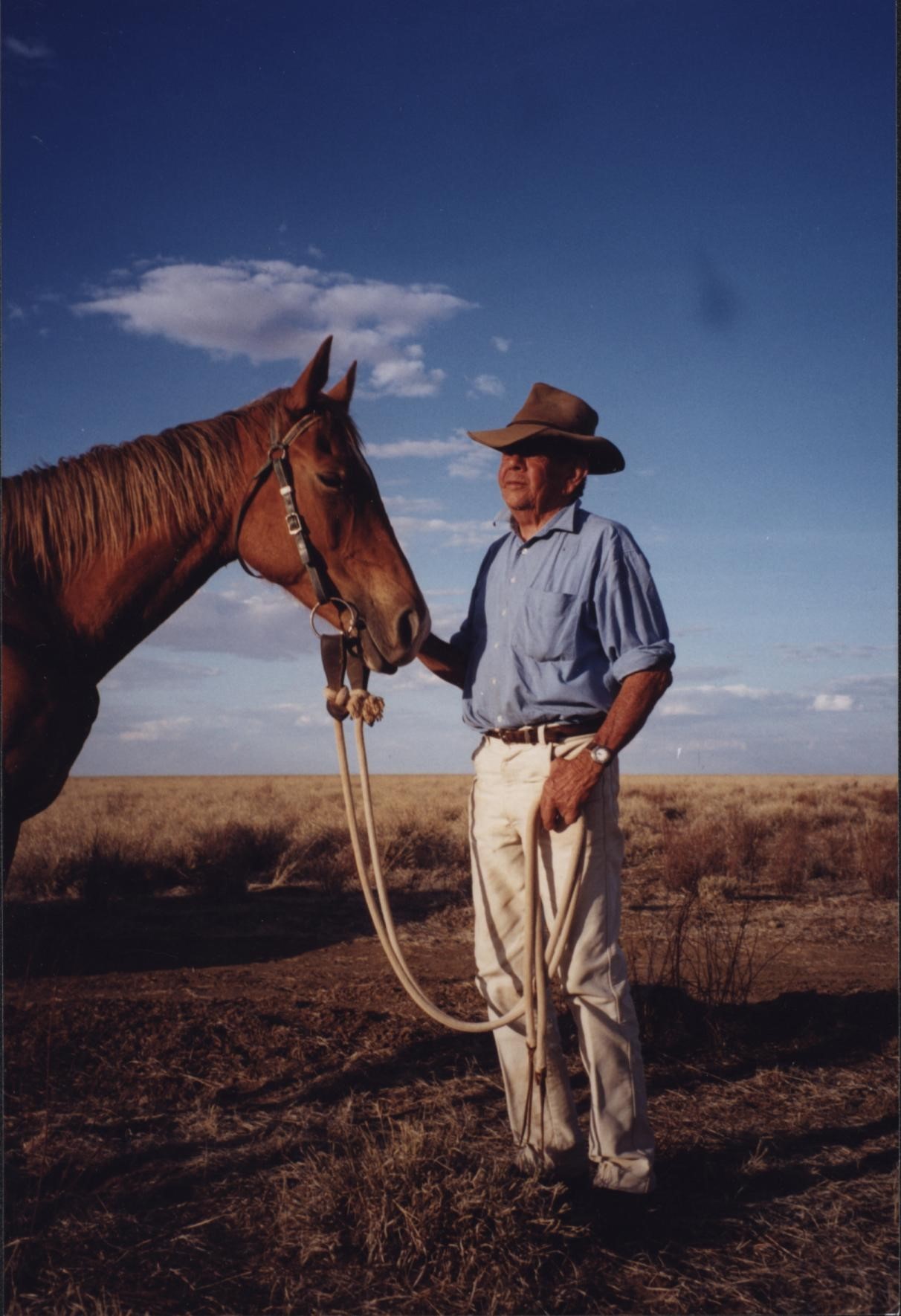 BRUCE SIMPSON: STOCKMAN AND STORYTELLER » Territory Q