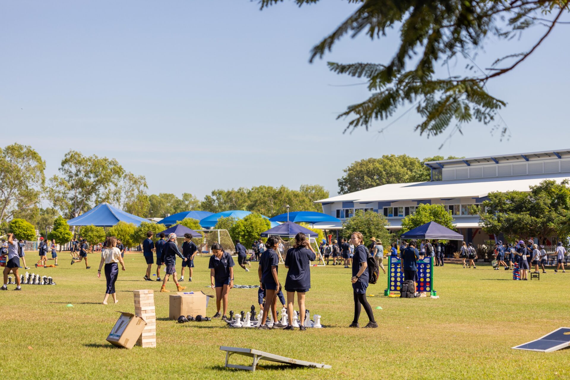 ESSINGTON: WHERE STUDENTS ARE PASSIONATE ABOUT LEARNING » Territory Q