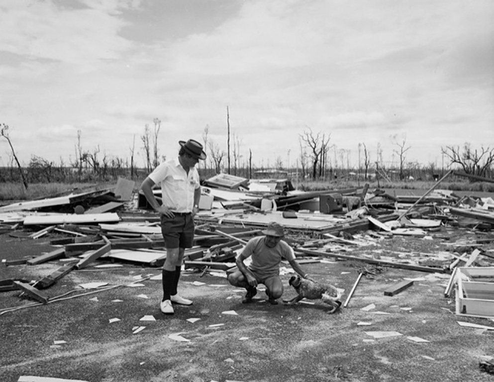 REMEMBERING TRACY » Territory Q