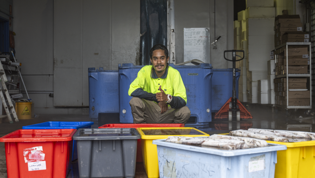 THE VISION SPLENDID » Territory Q