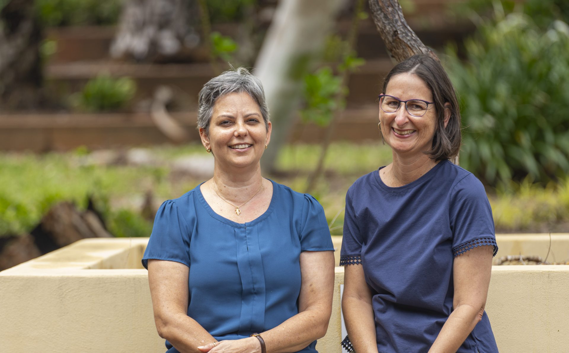 THE TOP ONE » Territory Q