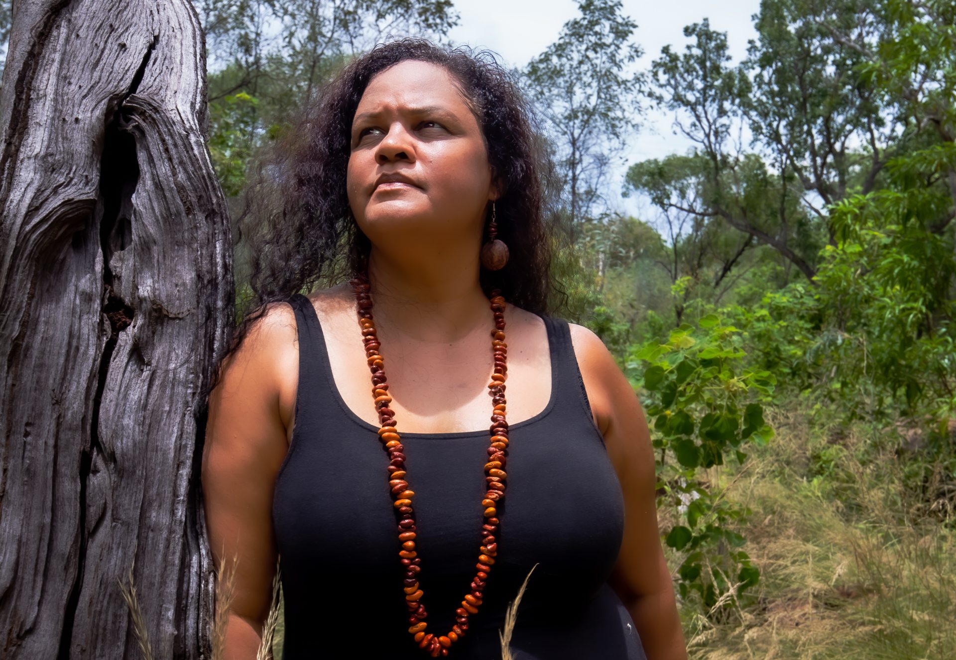 KIMBERLEY BIRDS SOARING HIGH » Territory Q