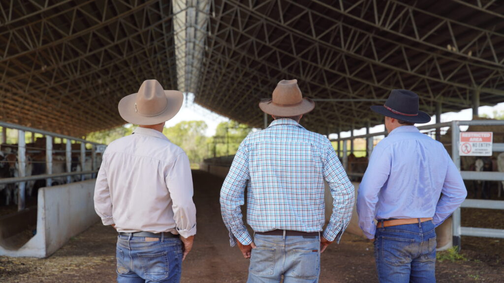 NT LIVESTOCK EXPORTERS ASSOCIATION » Territory Q