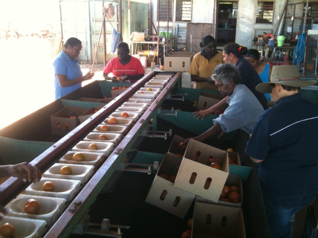 KALANO AT 50 » Territory Q