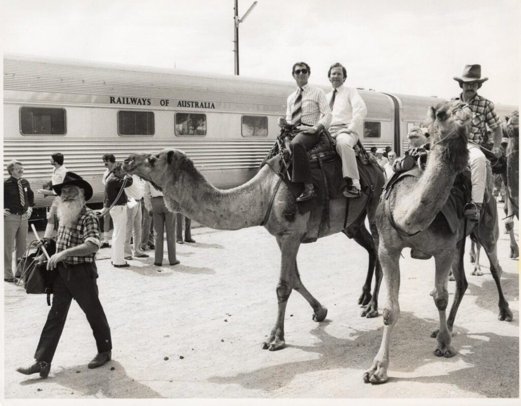 TERRITORY PIONEER MARSHALL PERRON » Territory Q