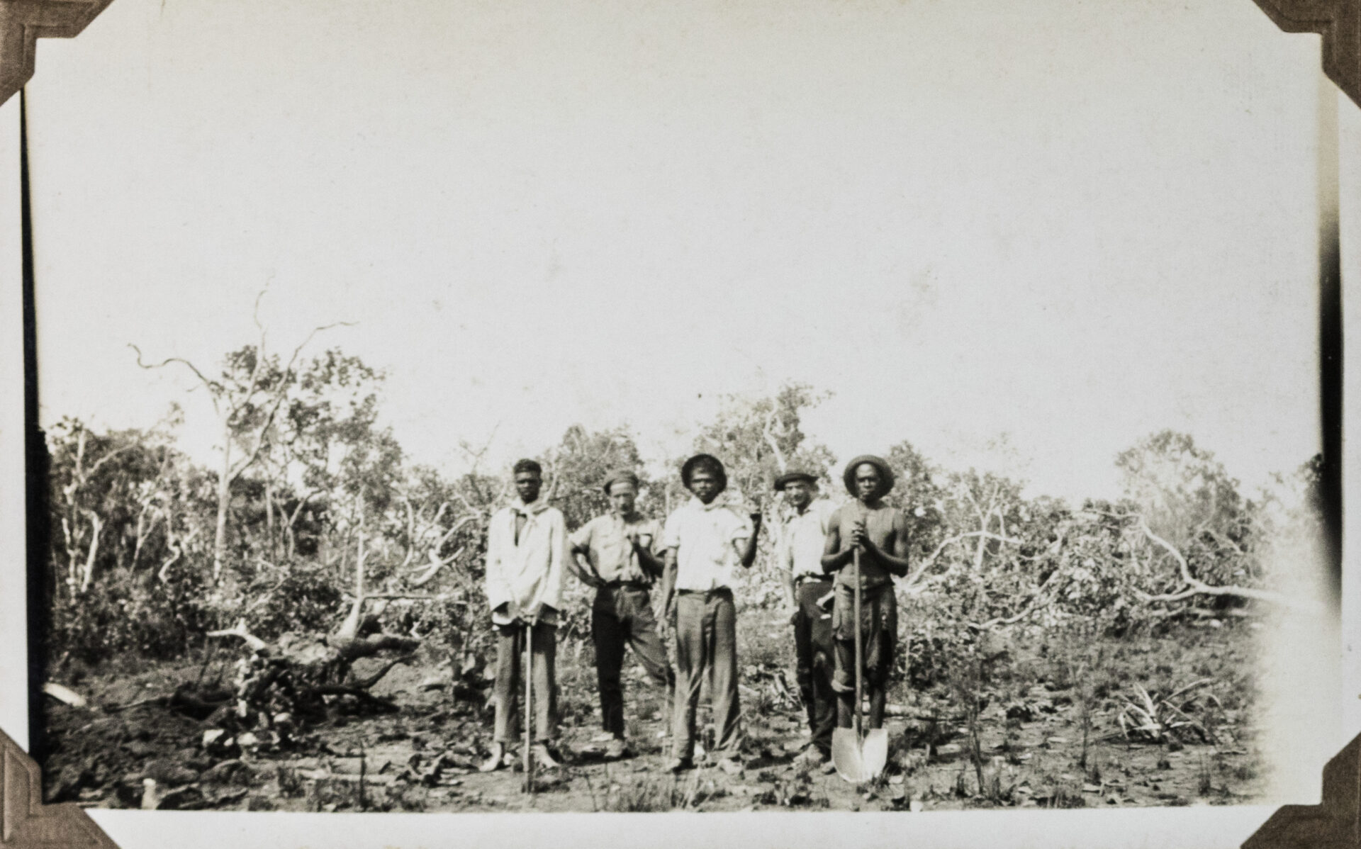 COSSACKS LEAVE PEANUT LEGACY » Territory Q